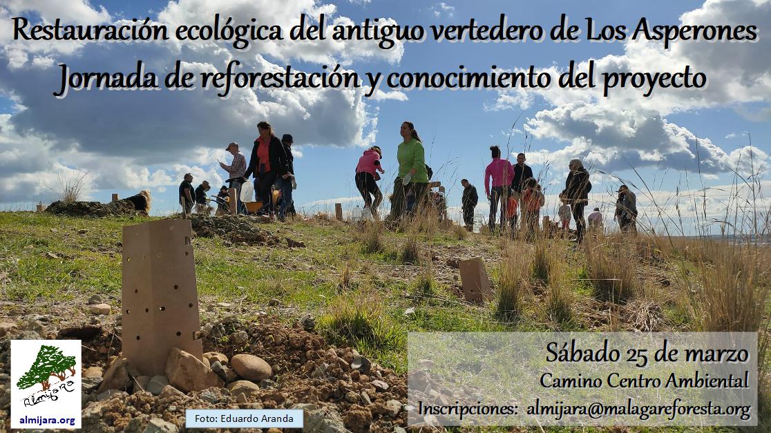 Jornada de reforestación y conocimiento del proyecto – Educación ...